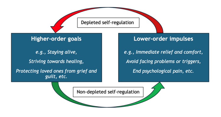 Understanding Suicide Risk: A Self-Regulation Perspective – Suicidal ...